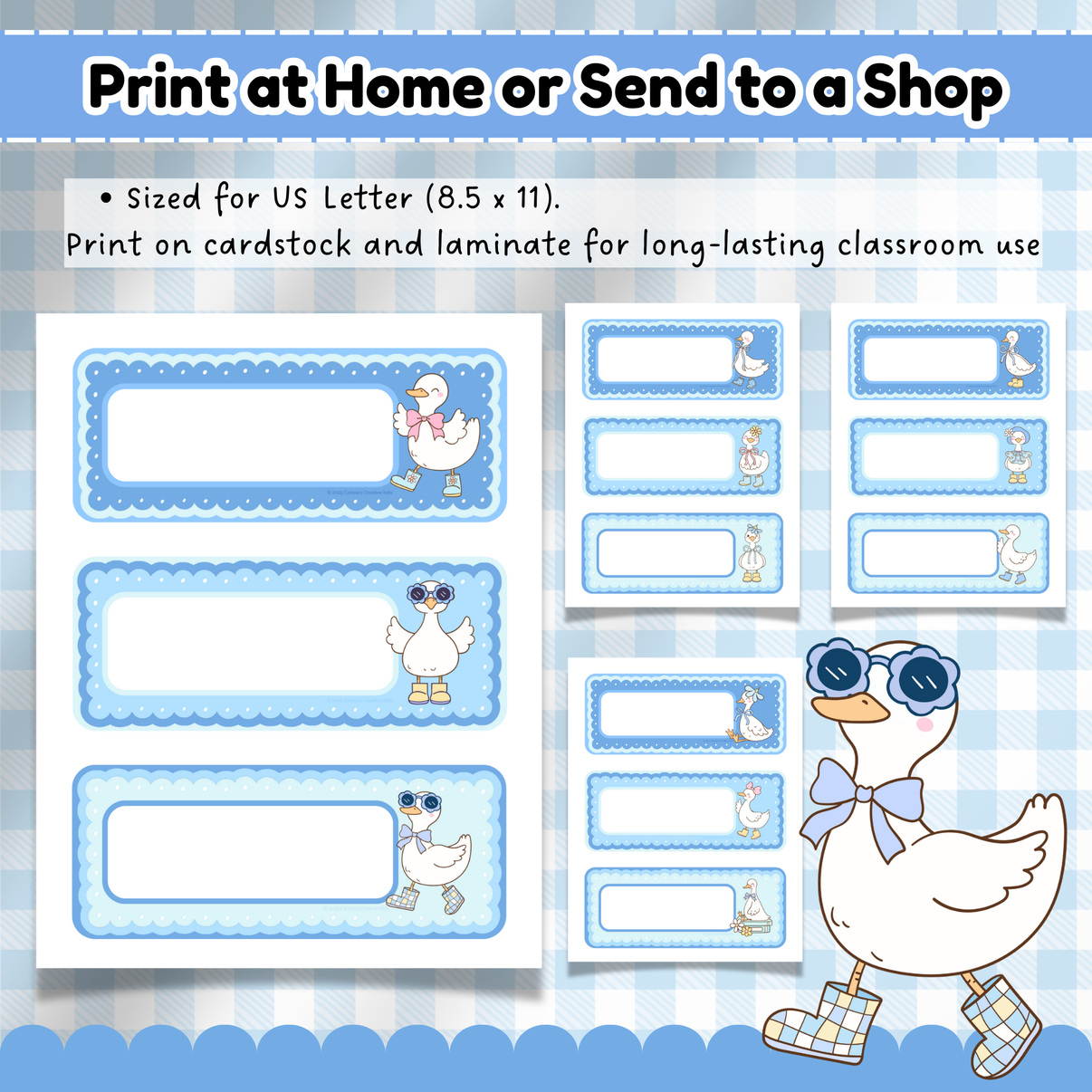 Editable Name Tags for Preschool & Daycare | Silly Goose Theme Classro ...
