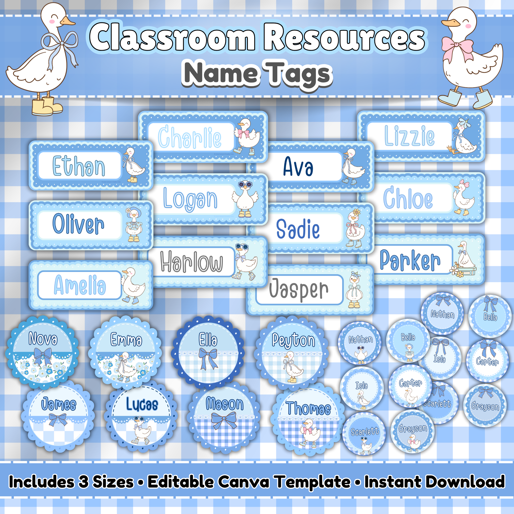 Editable Name Tags for Preschool & Daycare | Silly Goose Theme Classro ...